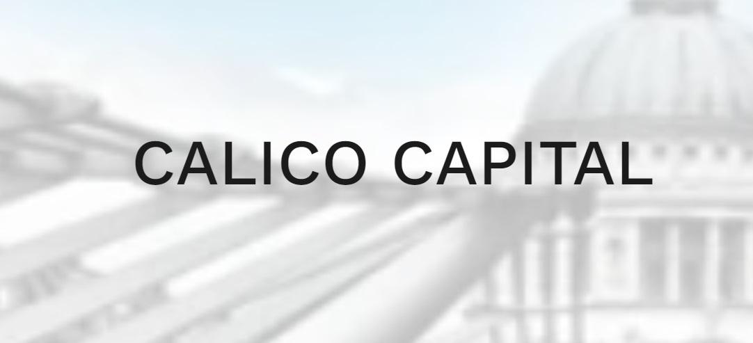 Exclusive: TigerWit sold, rebranding as Calico - FX News Group