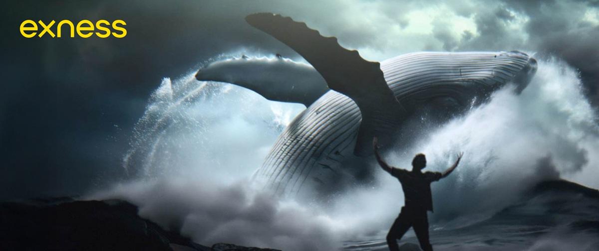 Exness launches “Born to Trade 2” global campaign - FX News Group